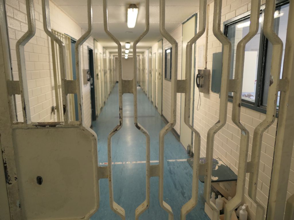 Background - Office of the Inspector of Custodial Services